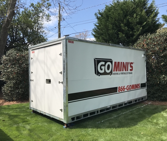 January 2023 | Go Mini's®